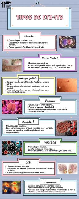 TIPOS DE ETS-ITS | Ysabel Evely | uDocz