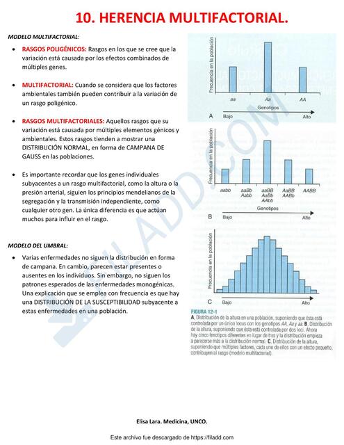 Herencia multifactorial | Santi | uDocz