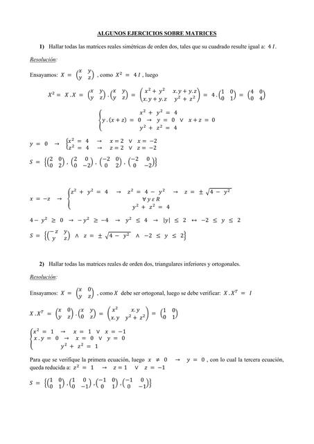 EJERCICIOS MATRICES | Alberto | uDocz
