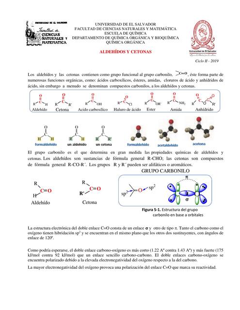Aldehidos y Cetonas Carbonilos | Ros Valle | uDocz