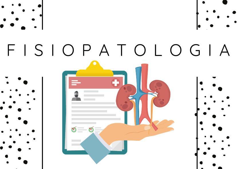 Fisiopatología Renal notas | CAMI N. | uDocz