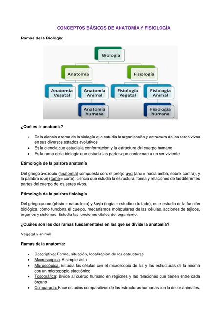 CONCEPTOS BASICOS DE ANATOMIA Y FISIOLOG | Samira valeria | uDocz