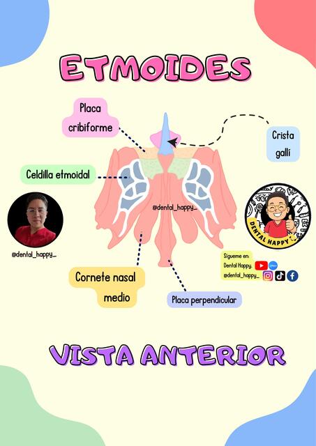 ETMOIDES VISTA ANTERIOR | Alan Díaz | uDocz