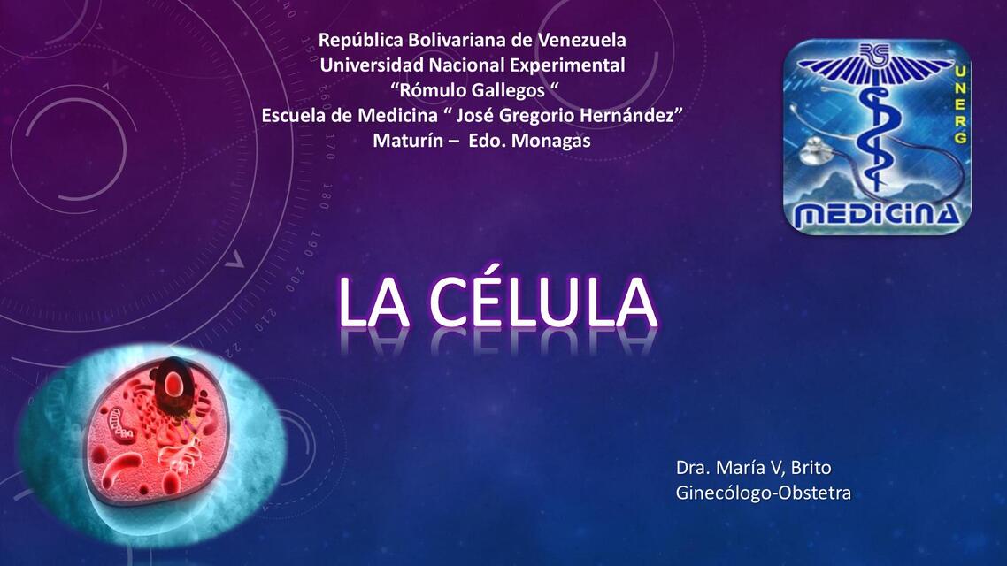 celula, morfología tema 1 hisem | Mari Lawliet | uDocz