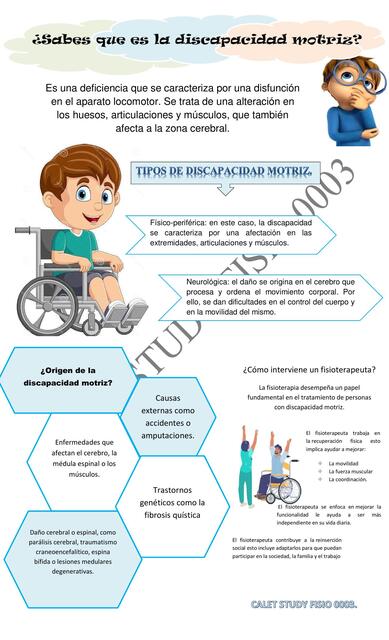 infografia de discapacidad motriz | CALET STUDY FISIO 0003. | uDocz