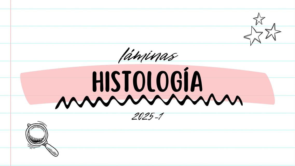 Morfo II histo | Ivanna | uDocz