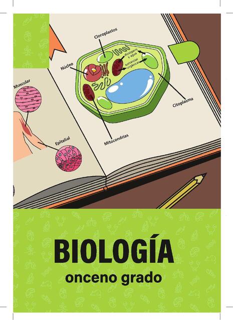 Libro de texto Biología 11 | Brenda | uDocz
