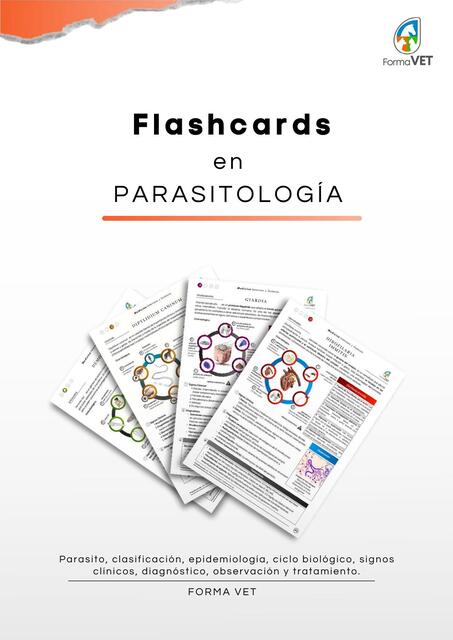 Flashcards | uDocz