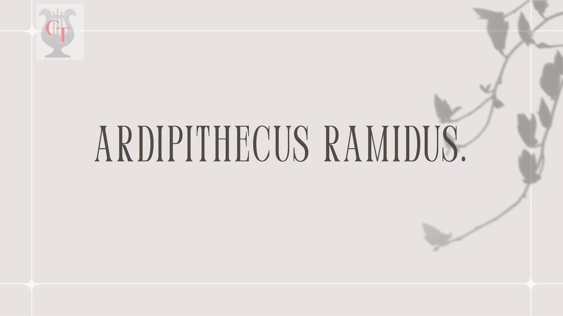 Ardipithecus ramidus | Felipe | uDocz