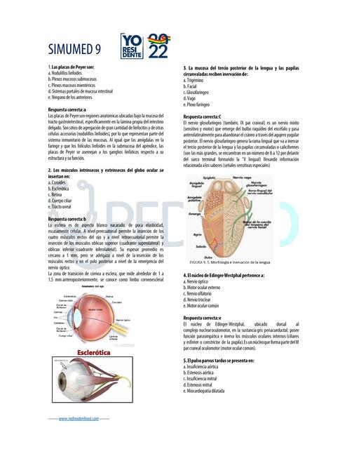 SIMULACRO 9 | Mauricio | uDocz