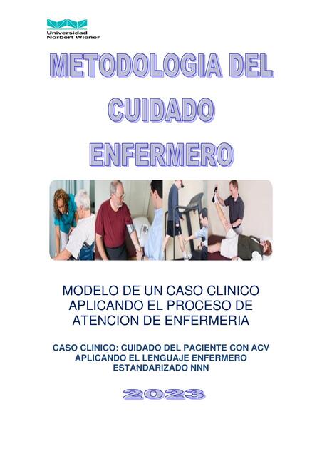 Modelo de PAE Completo | Milagros | uDocz