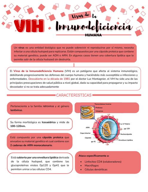 VIH | PAO IDK | uDocz