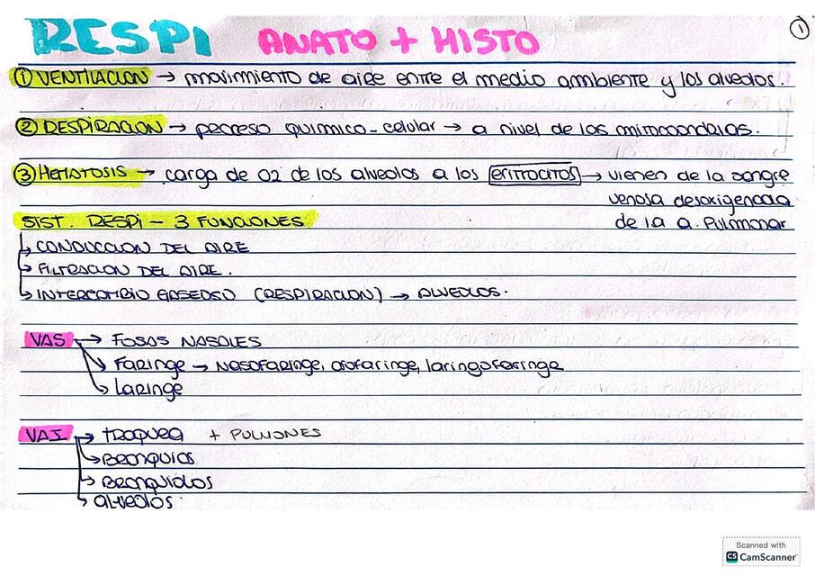 Respiración: anatomía e histología | sofia | uDocz