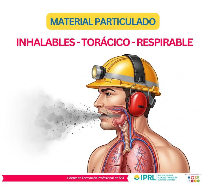 Material particulado | INDUX | uDocz