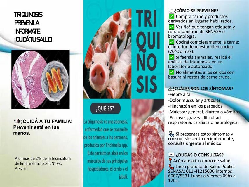 FOLLETO TRIQUINOSIS | Micaela | uDocz
