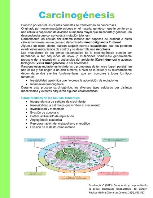 Carcinogenesis | María Zazueta | uDocz