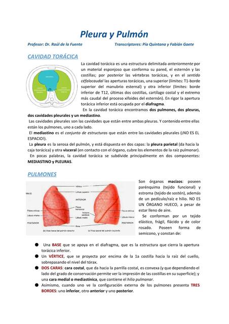 Flashcards de Copia de 05 Pleura y Pulmón | Por Abel Xesspe | uDocz