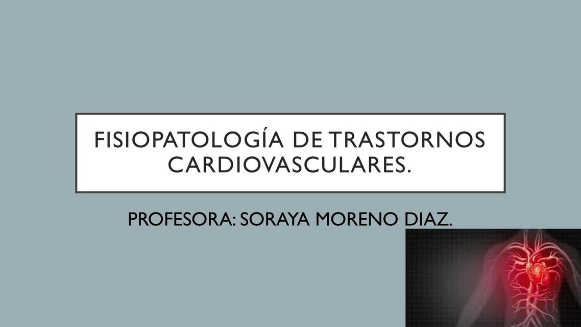 Flashcards de FISIOPATOLOGIA DE TRASTORNOS CARDIOVASCULARES 1 | Por ...