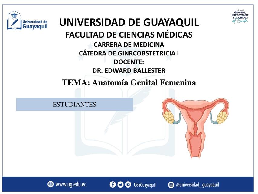 GENITALES INTERNOS EXPO 2 | Edwin | uDocz