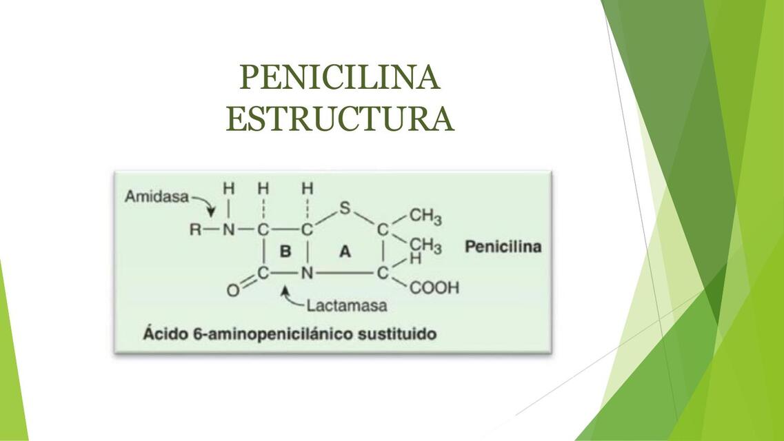 antibioticos | NORMA IDALIA VILLEGAS LEON | uDocz