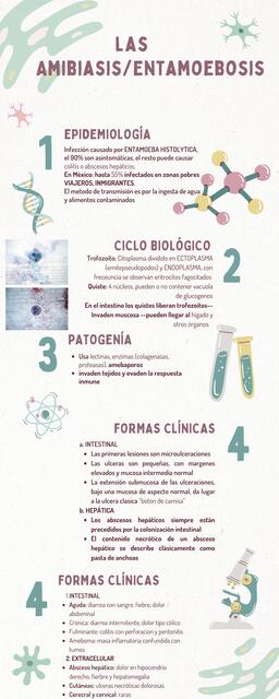 Amibiasis | bruno | uDocz