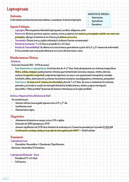 Leptospirosis | DIEGO ALEJANDRO | uDocz