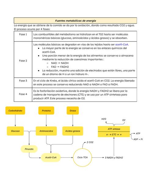 CAP 11 KAPLAN | Lucía Juárez | uDocz