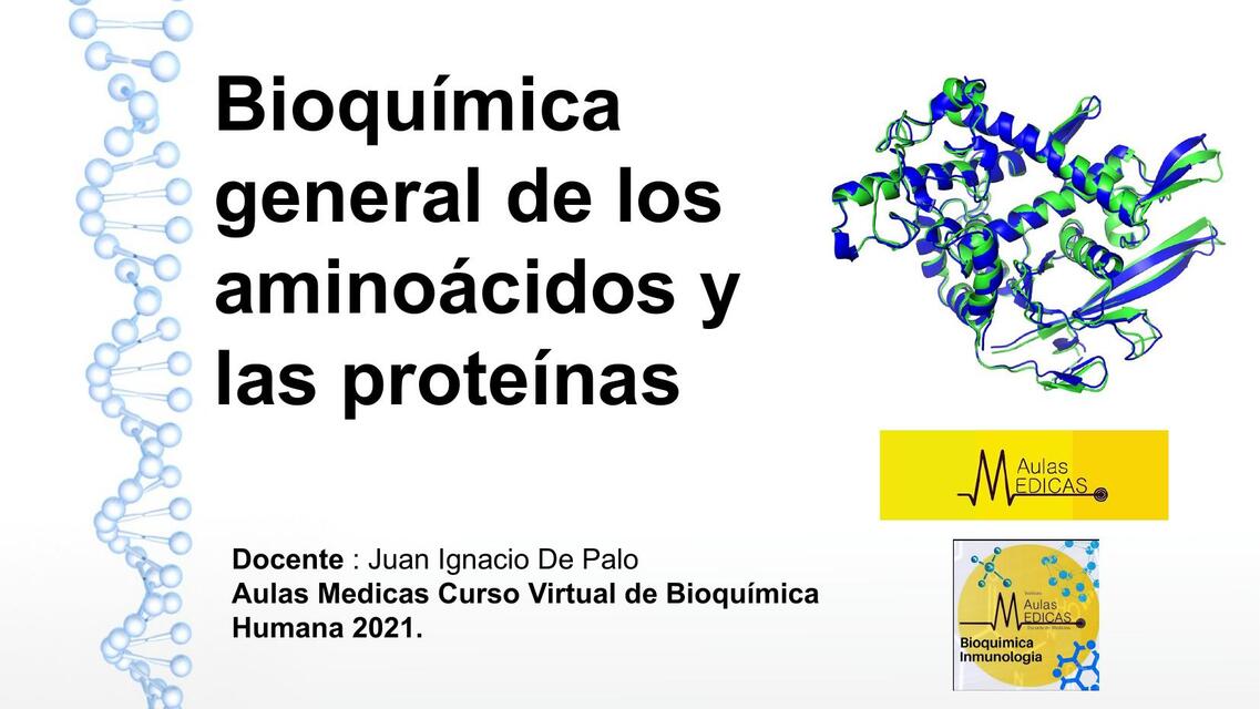 0 Qué son los aminoácidos y las proteínas Bioquími | Stephanie | uDocz