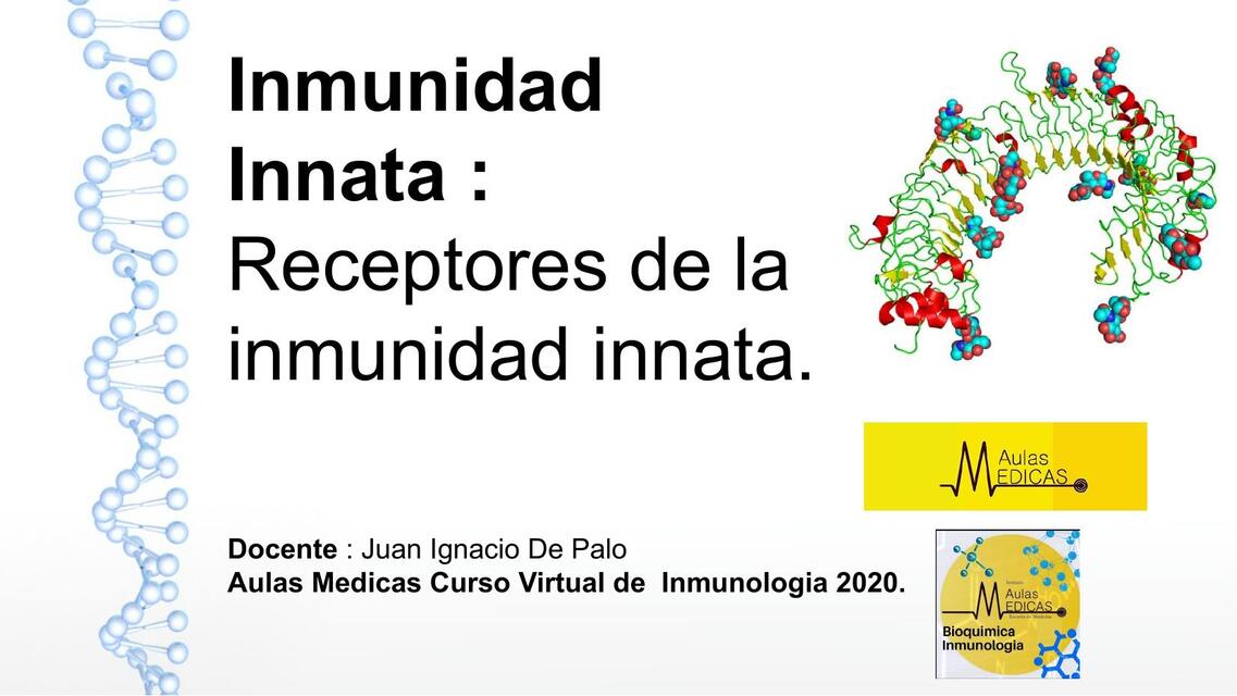 Inmunidad Innata RRP Receptores del reconocimiento | Stephanie | uDocz
