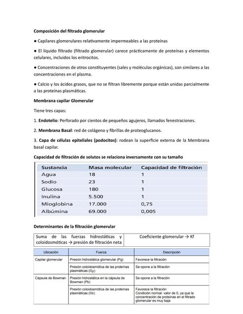 Resumen - Filtración glomerular flujo sanguíneo renal y su control ...