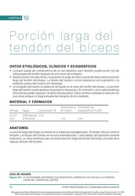 19 Porción larga del tendón del bíceps | Irvin daniel Moron moran | uDocz