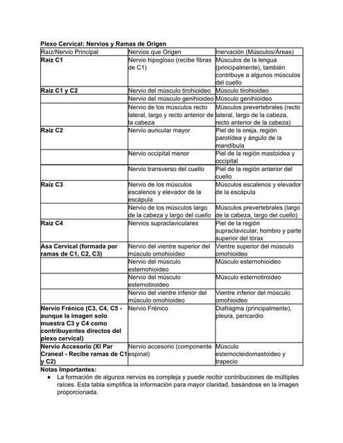 mini resumen del plexo cervical | gabriela | uDocz