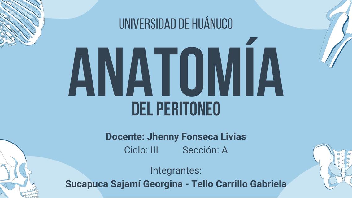 ANATOMIA DEL PERITONEO | Medical_lovers | uDocz