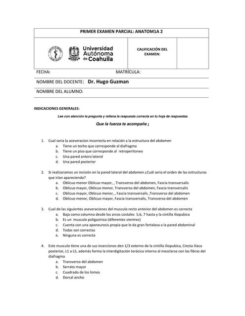 1er parcial Anato 2 verde | Hugo Guzmán | uDocz