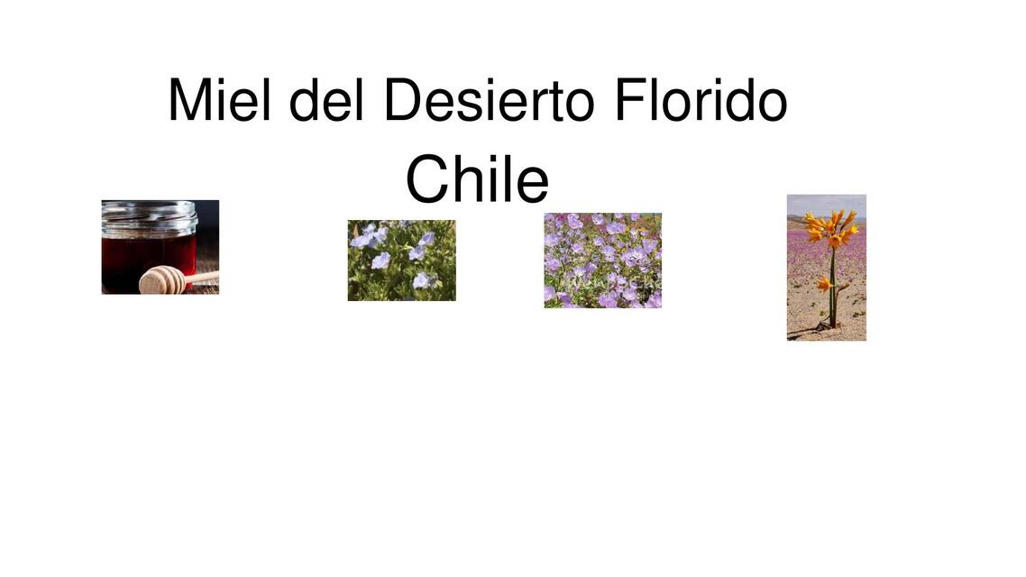 Miel del desierto florido | Camila | uDocz