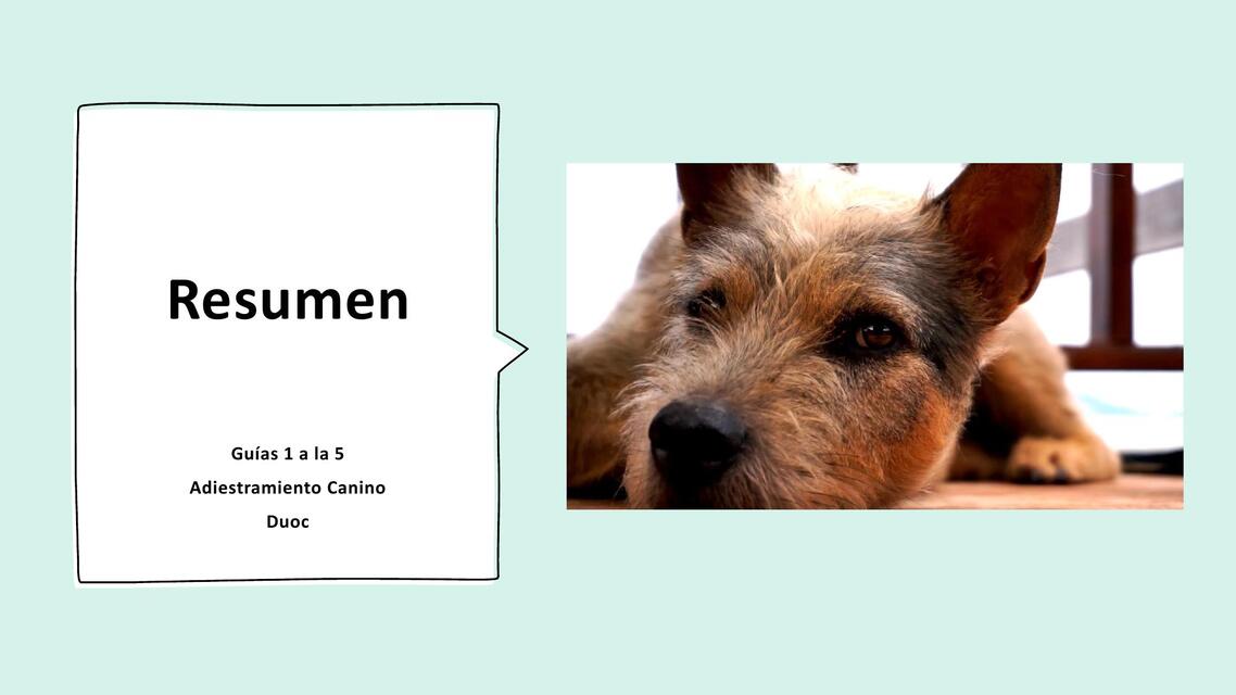 Resumen de adiestramiento canino | Camila | uDocz
