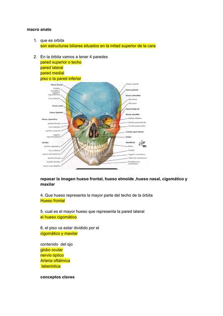macro anato | Anónimo | uDocz