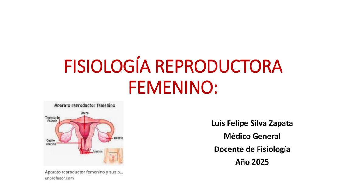 Fisio Reproductor Femenino | Katerin | uDocz