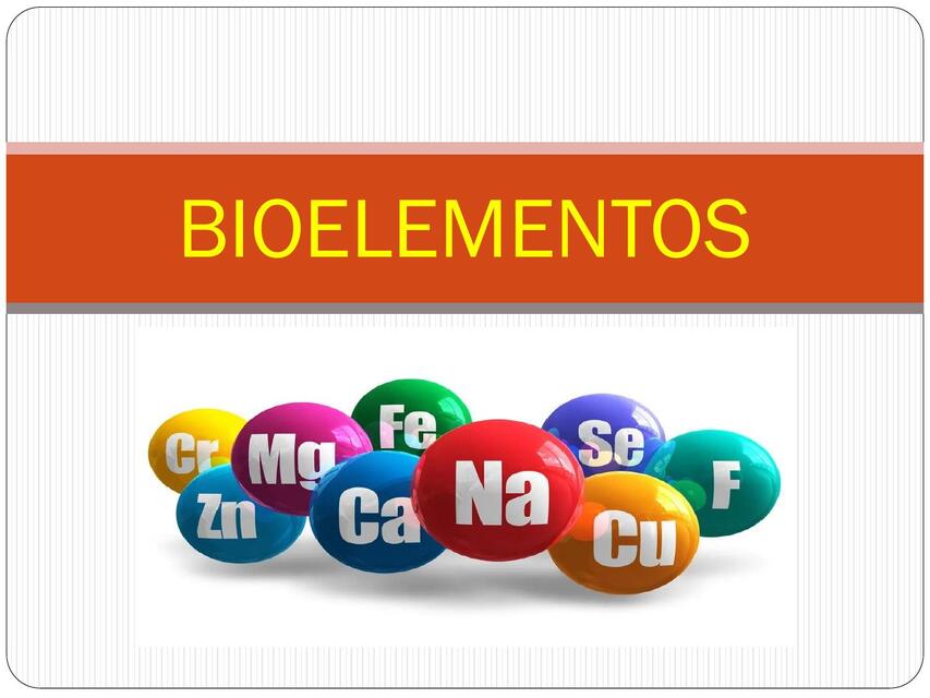 15 BIOELEMENTOS | Josue | uDocz