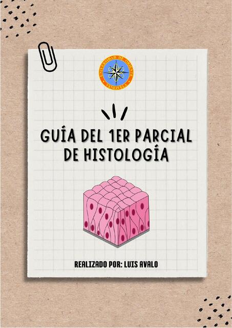 Guía 1er Parcial de Histo 1 1 | patrricia | uDocz