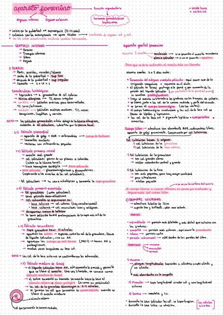 Resumen femenino masculino y endocrino 1 1 | patrricia | uDocz