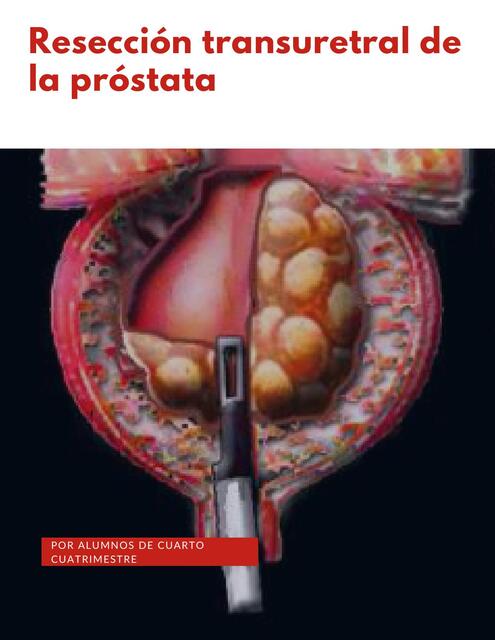 REVISTA RTU | sofia | uDocz