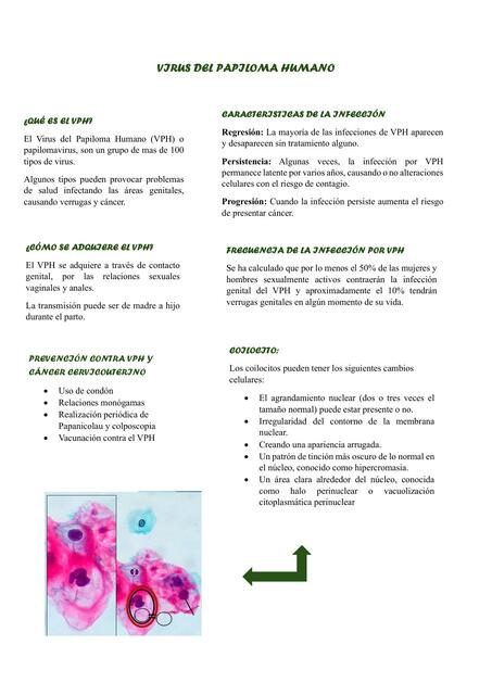 RESUMEN VPH | LEIDY LUZ | uDocz