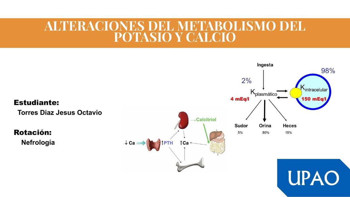 ALTERACIONES DEL METABOLISMO DEL POTASIO Y CALCIO | Jesus Torres | uDocz