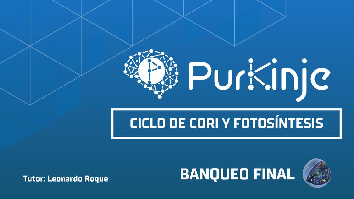 BANQUEO FINAL TEORIA biología celular y molecular | Rebe | uDocz