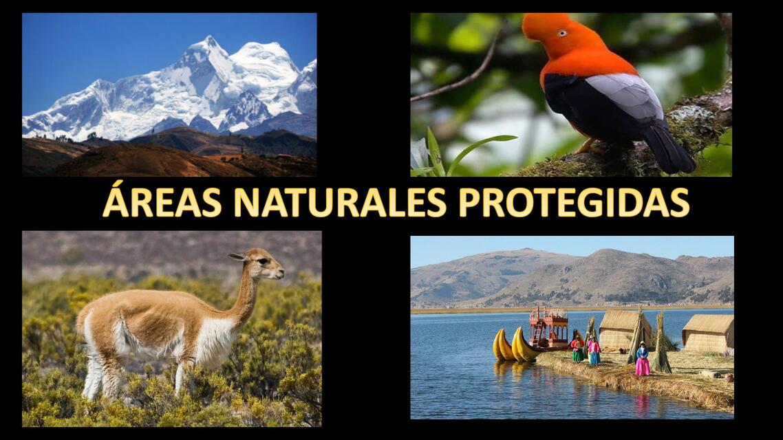 ANP | Robbin | uDocz