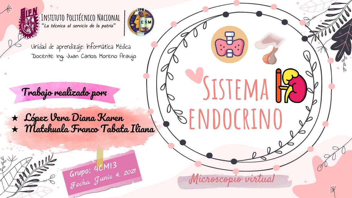 Microscopio virtual Sistema endocrino | Karen López | uDocz