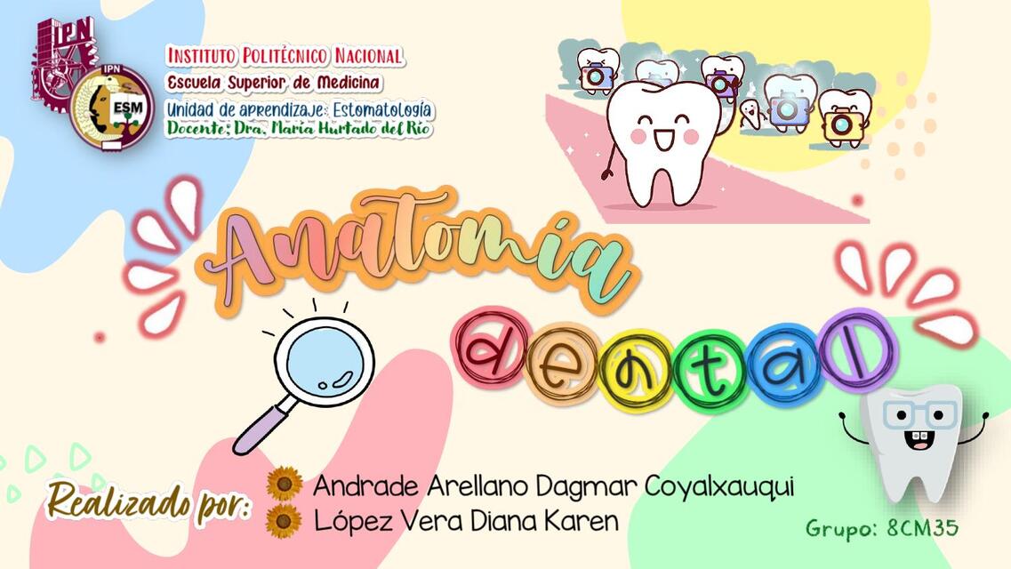Anatomía dental | Karen López | uDocz