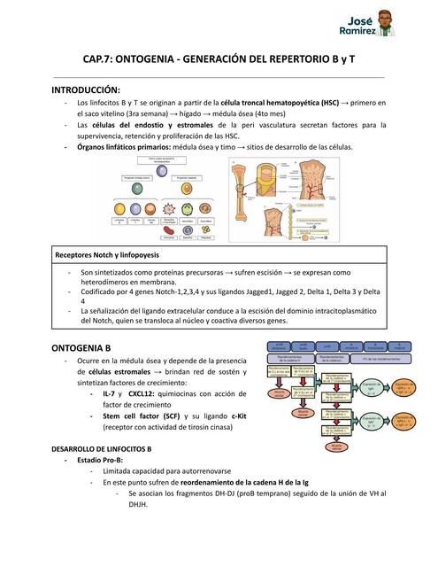 Cap 7 Ontogenia | JOSE | uDocz