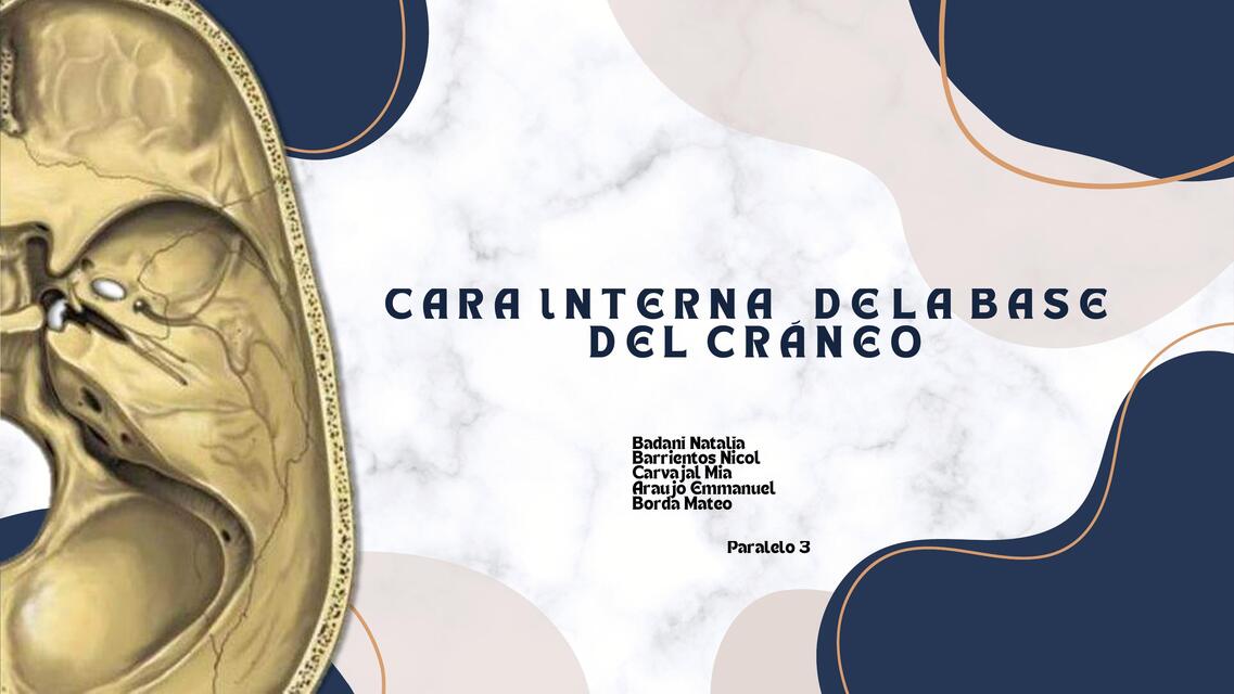 cara interna pptx | Carlos Araujo Miranda | uDocz